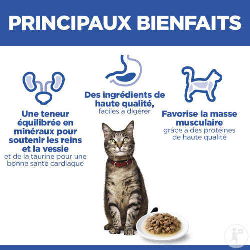 Hill's Science Plan Aliment Humide Chat Adulte Au Poisson De Mer Sachet ...