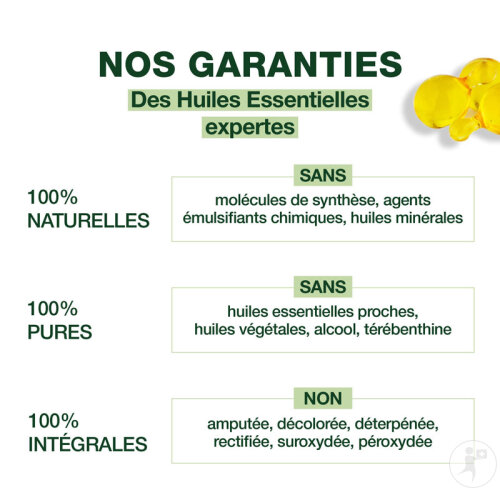 Pranarôm Aromaforce Capsules Inhalation Bio 15 Mono-Doses | Newpharma