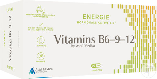 Vitamines B6-9-12 Hormonale Activiteit Voedingssupplement 96 Capsules ...